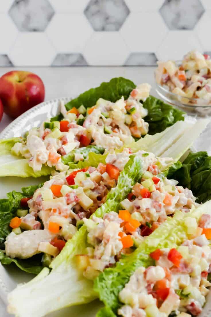 40+ Cold Dinner Ideas (Summer Meals) Leftovers Then Breakfast