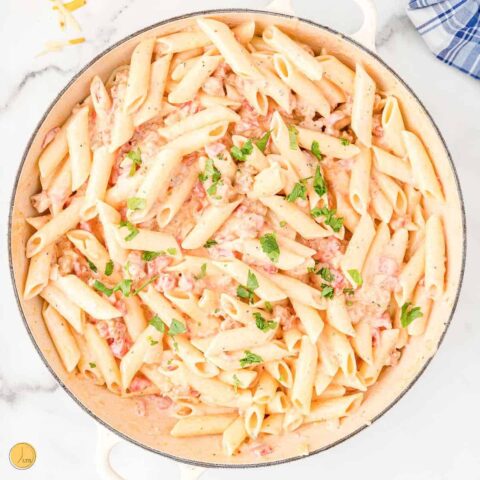 Easy Rotel Pasta - Leftovers Then Breakfast