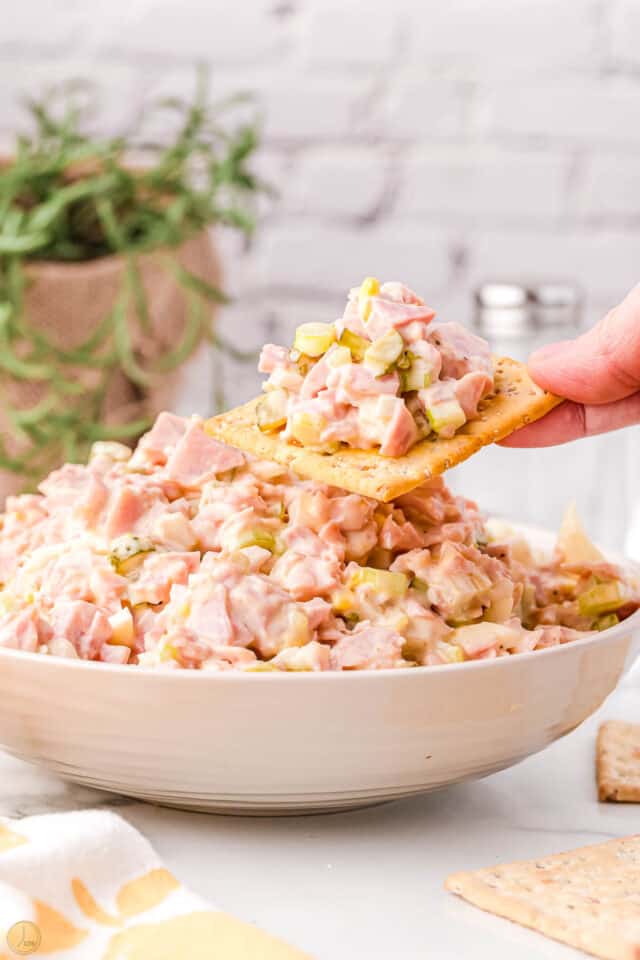 Old Fashioned Ham Salad Recipe - Leftovers Then Breakfast