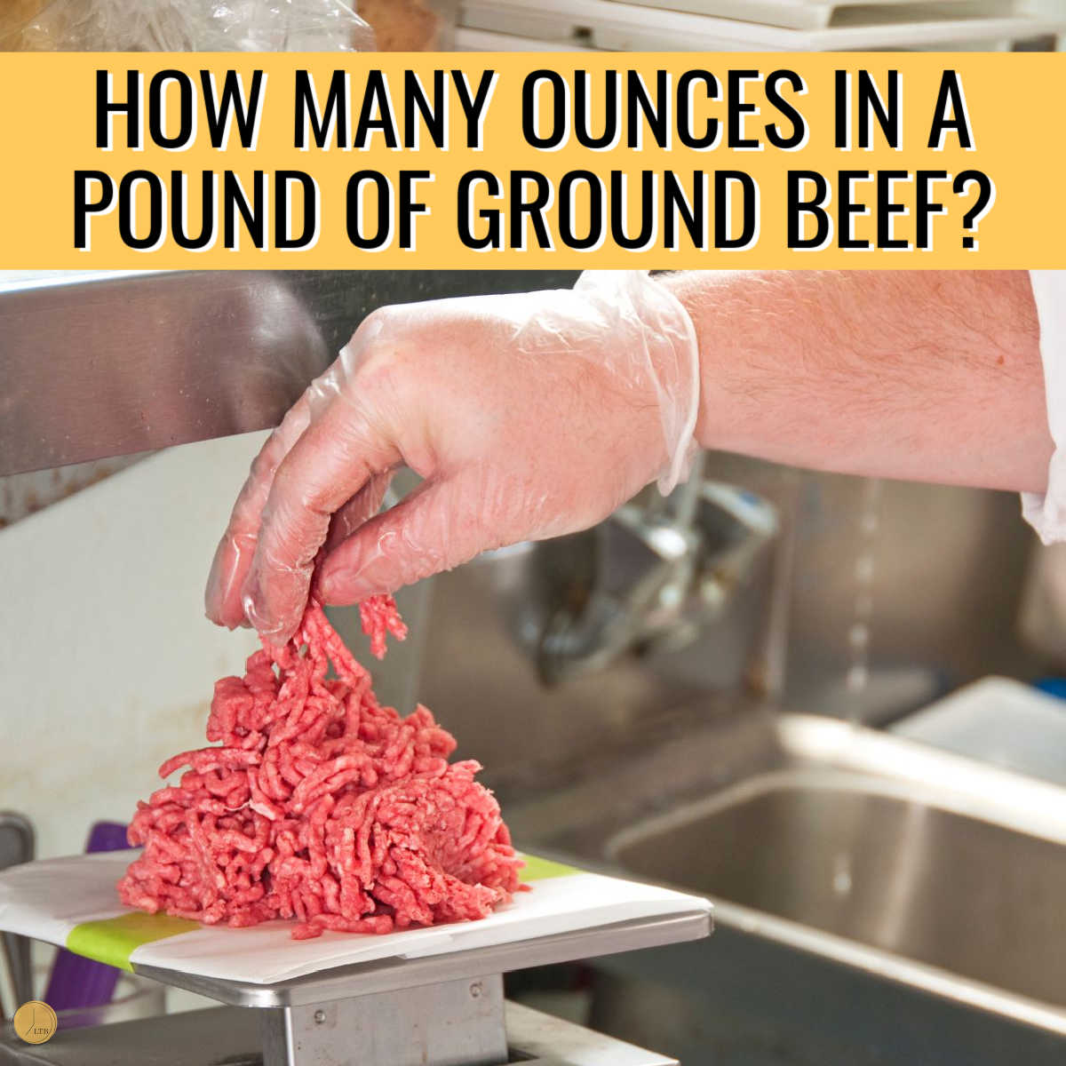 How Many Ounces In A Pound Of Ground Beef 2023 