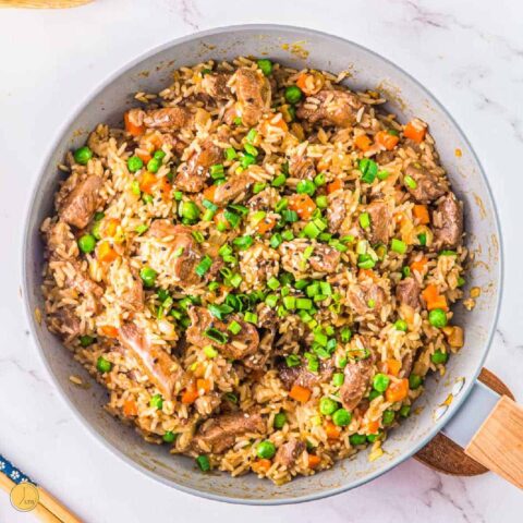 Easy Steak Fried Rice - Take Two Tapas