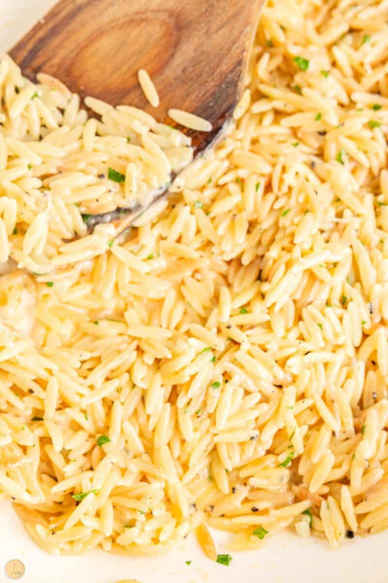 Creamy Garlic Parmesan Orzo - Leftovers Then Breakfast