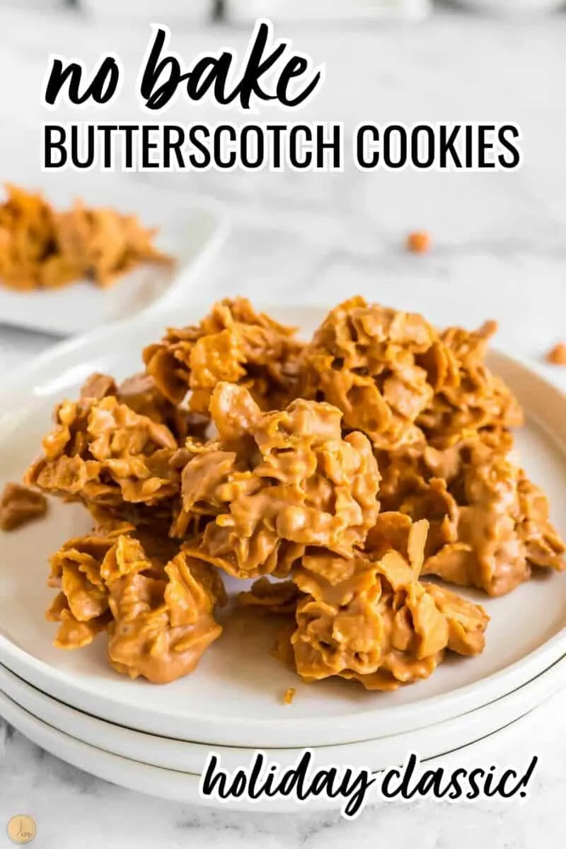 No Bake Butterscotch Cookies (Easy)